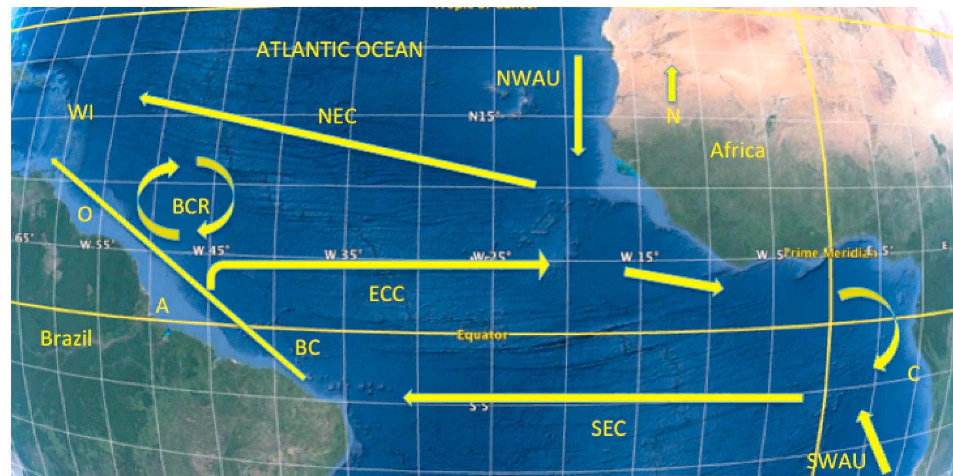 Current boundaries of the equatorial atlantic sargassum