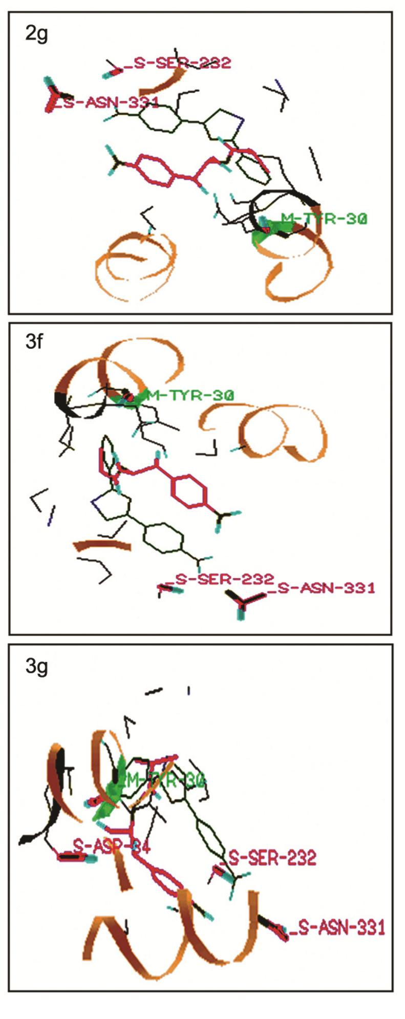 docking pose of compound with 4zow subjected for docking