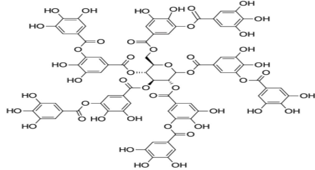 Chemical structure of tannic acid.