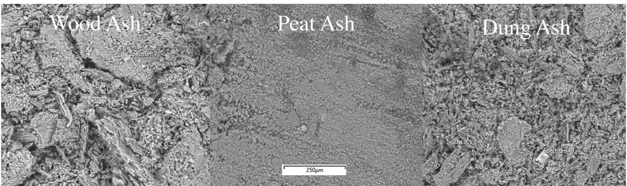 Ashes magnified 300 x. from left to right: wood ash, peat