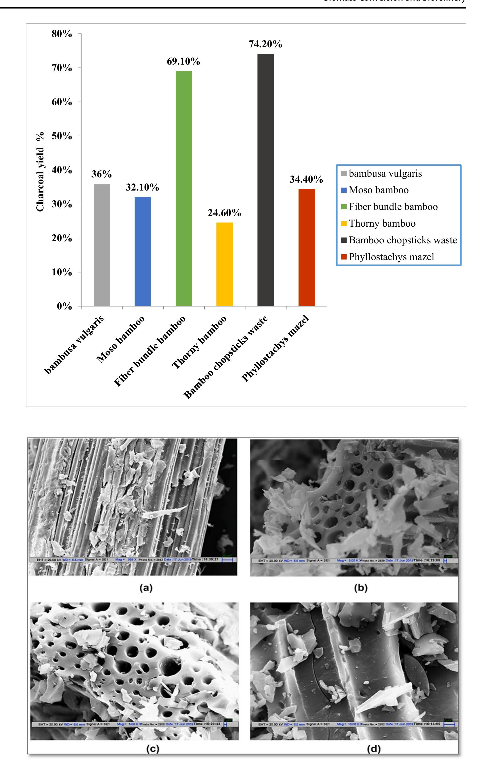 (PDF) Bamboo for producing charcoal and biochar for versatile applications