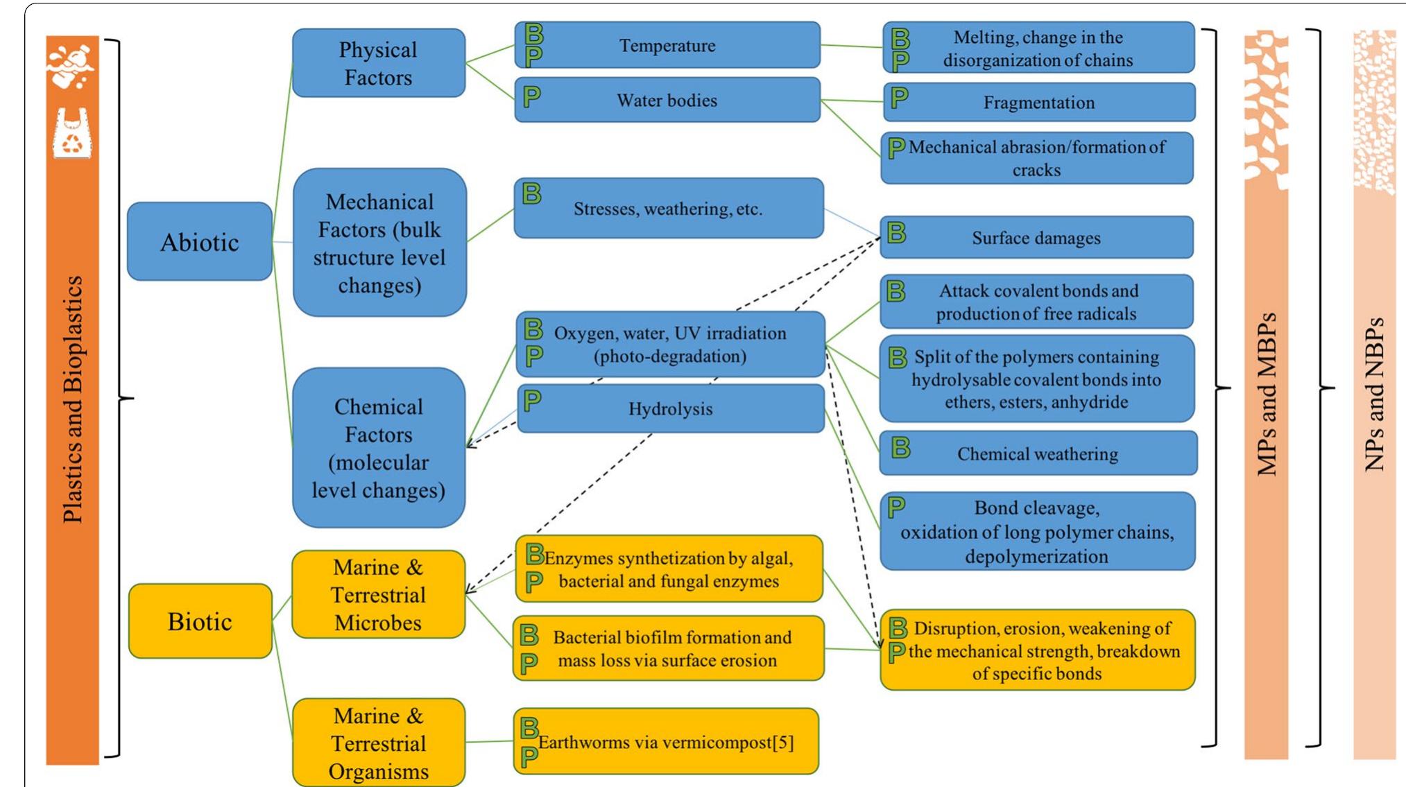 Examples of abiotic and biotic pathways from plastics and