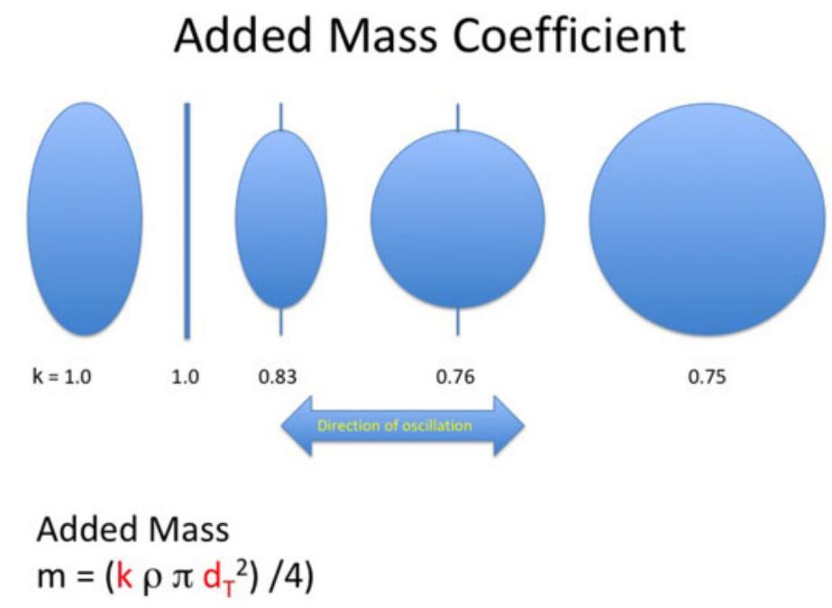 Added mass coefficient for different tail cross-section