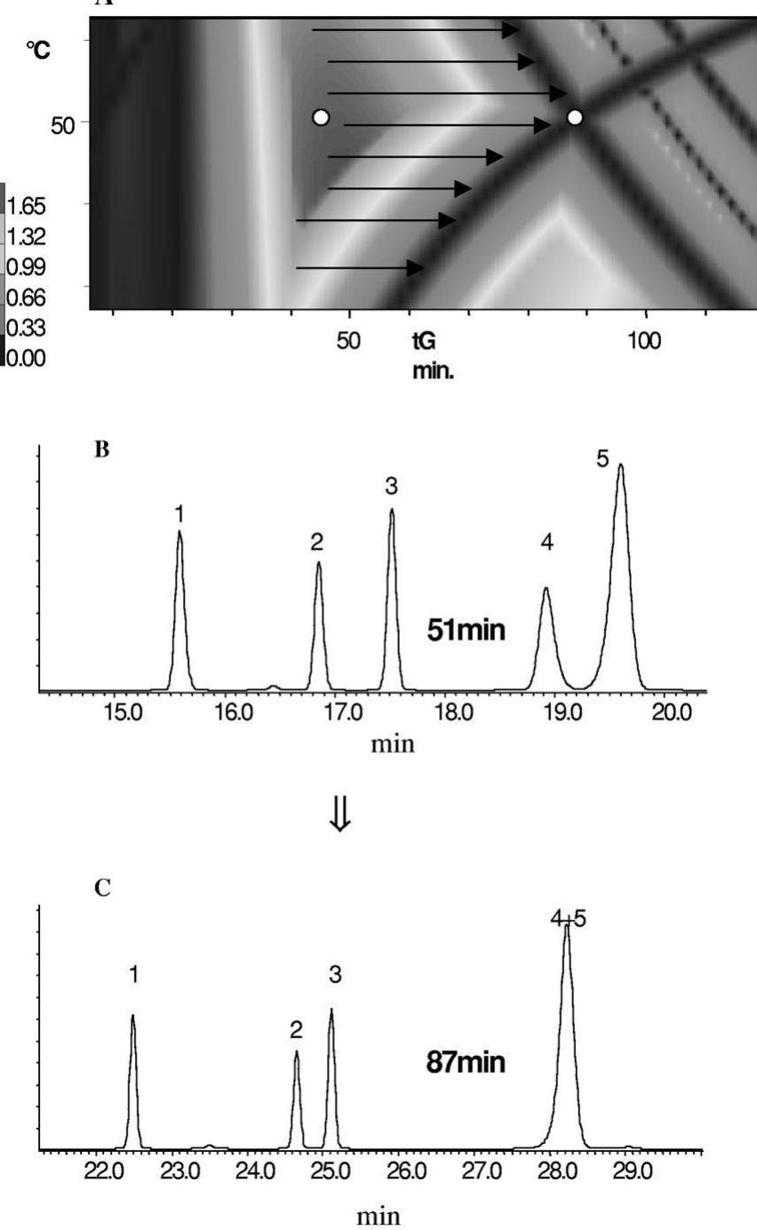 (a) the two-dimensional resolution map of temperature and