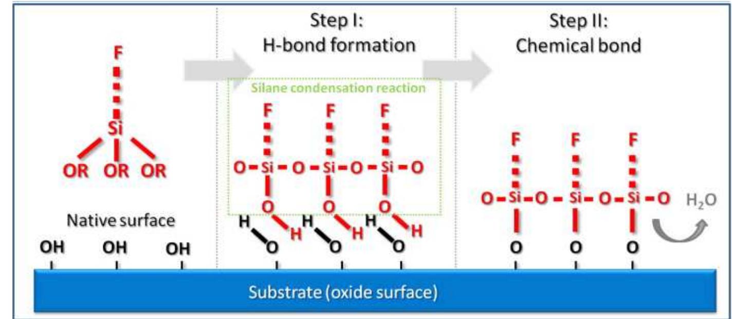 12 — schematic view of the condensation reaction between