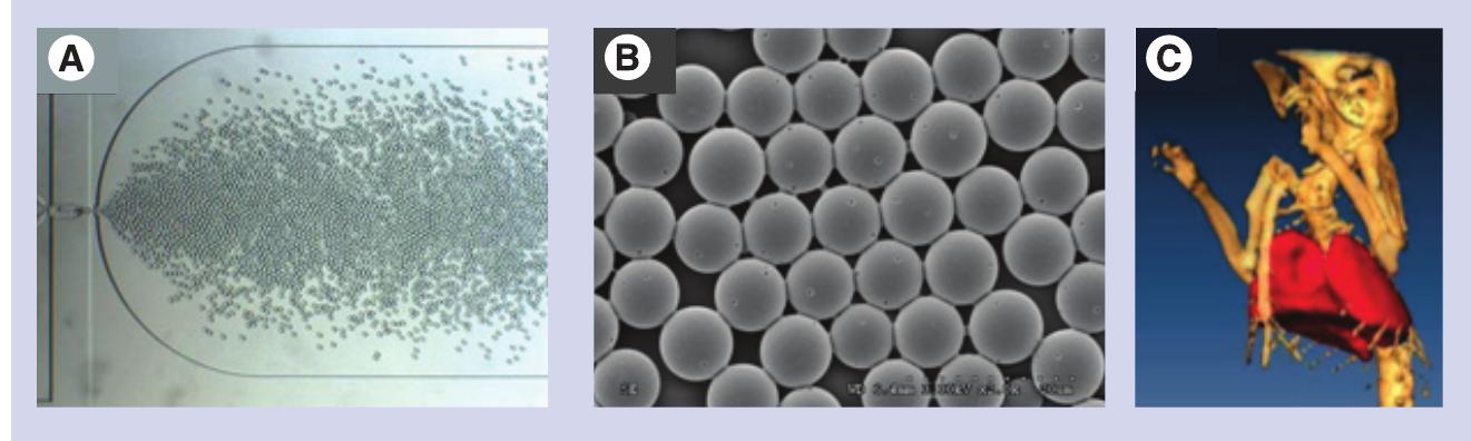 Production of microspheres by flow focusing. (a) formation