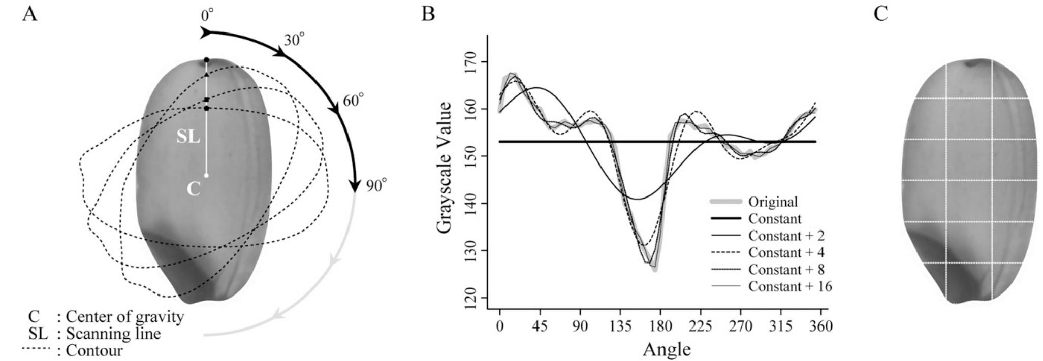 Schematic diagrams of the data-acquisition process using