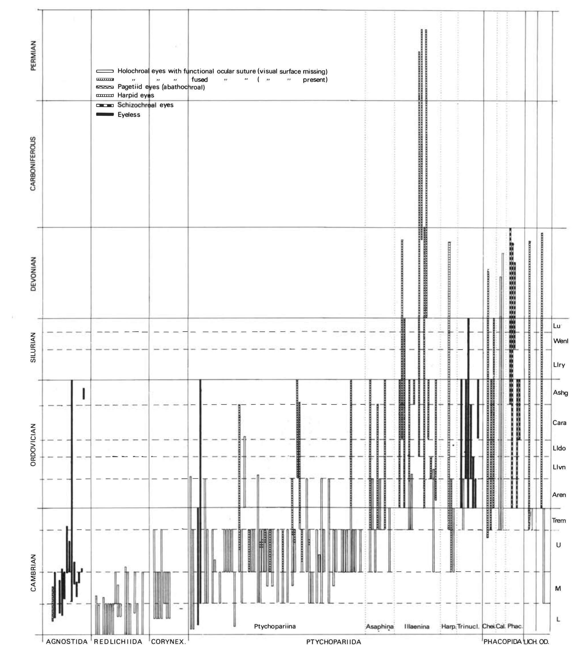 Figure 1 - The evolution of the eye in trilobites