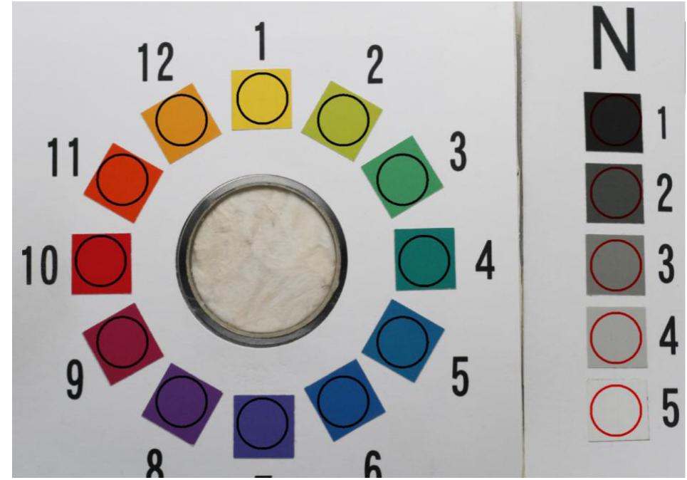 Cropped standard color patches regions and neutral gray