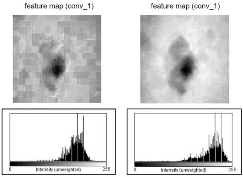 Histograms for two feature maps of same input image of skin