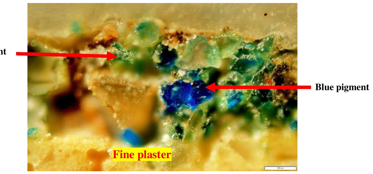Photomicrograph of cross-section image showing the