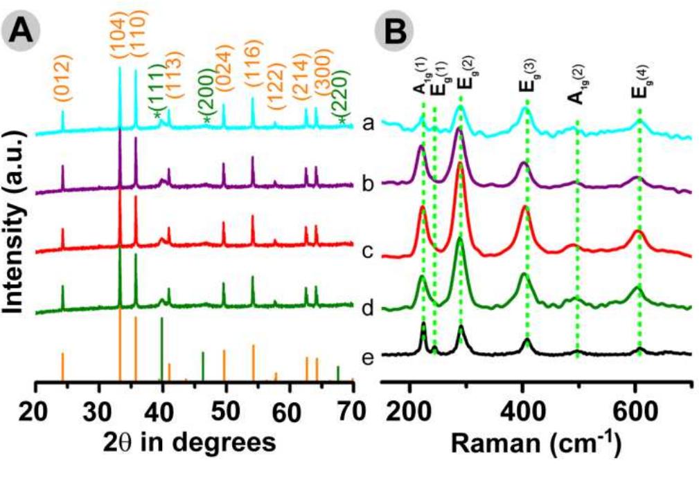 (a) wide-angle xrd pattern and (b) raman spectra of the
