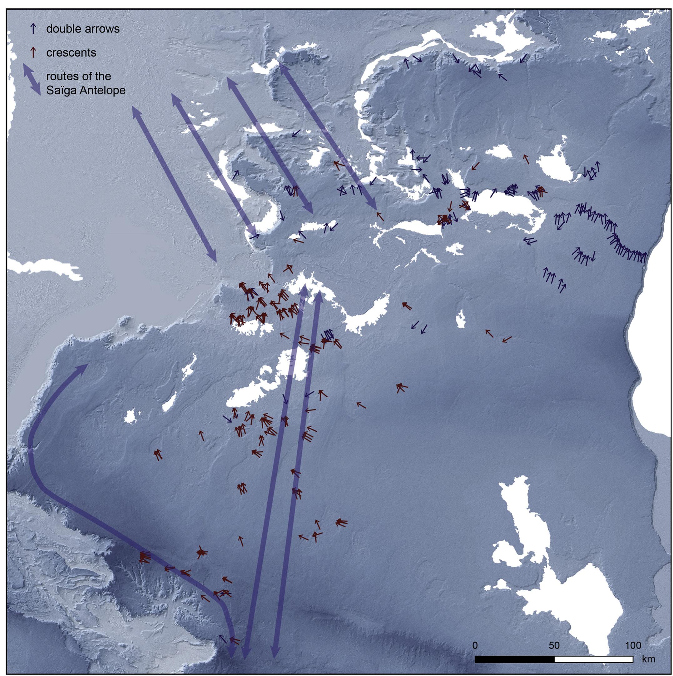 Map of the orientation of the double arrow kites and