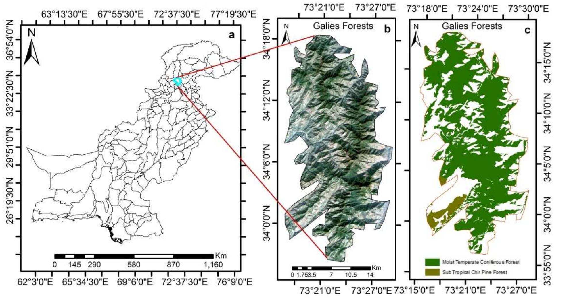 Study area map ((a) pakistan map; (b) sentinel-2 rgb image