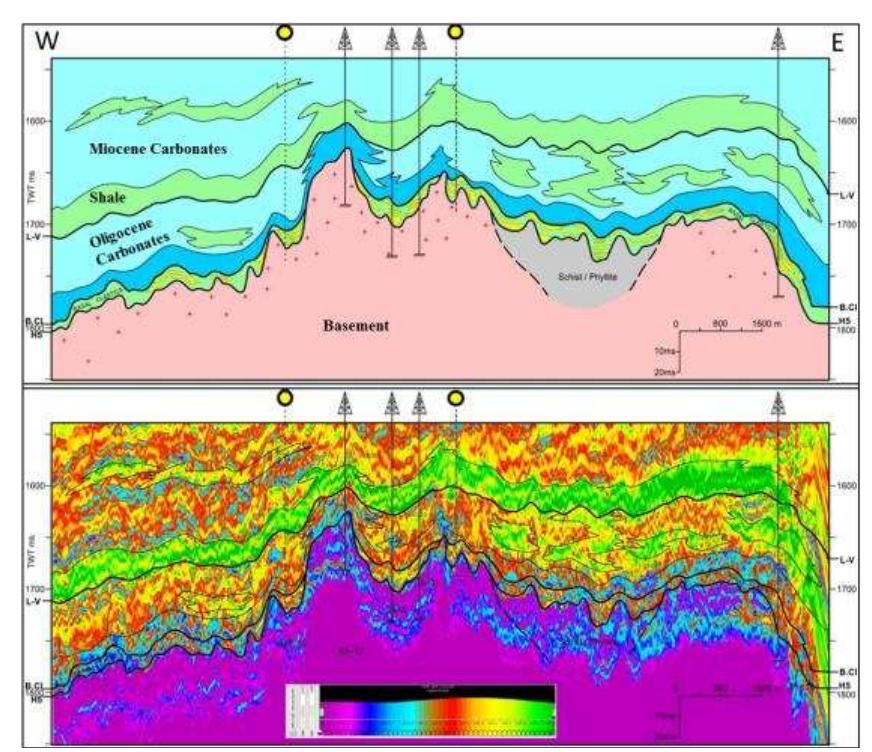 Schematic seismogeological cross section showing