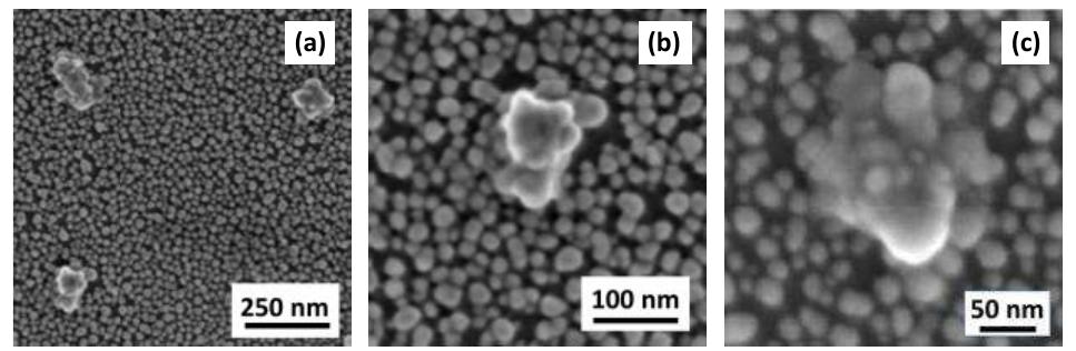 Figure 4 - from Protein interaction with SiO2 and AgNPs: