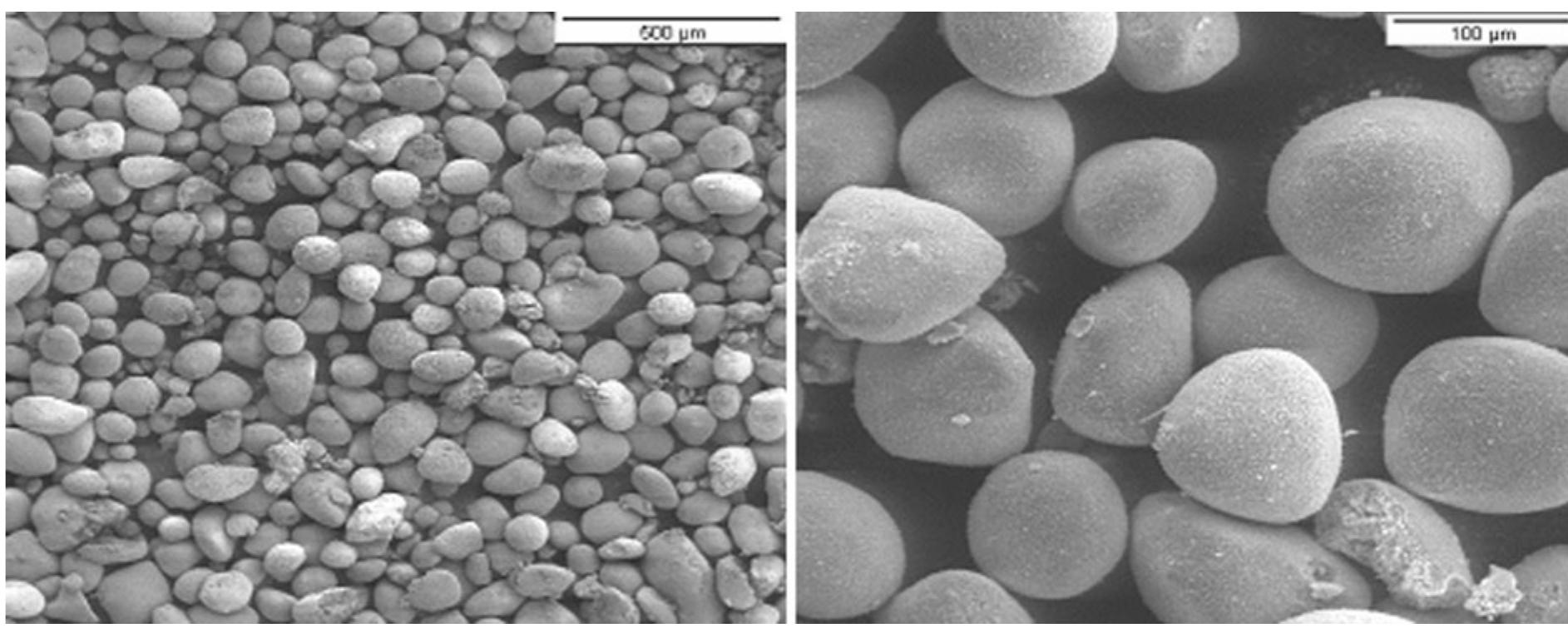 —sem micrographs of synthesized fes). fig. 3—xrd pattern of
