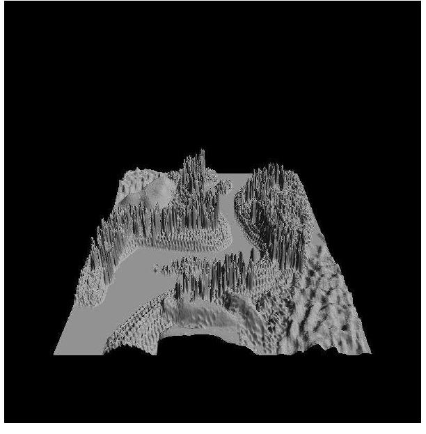 The height map rendered in 3d.