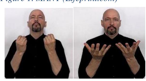 Figure 3 - Counting nouns in ASL