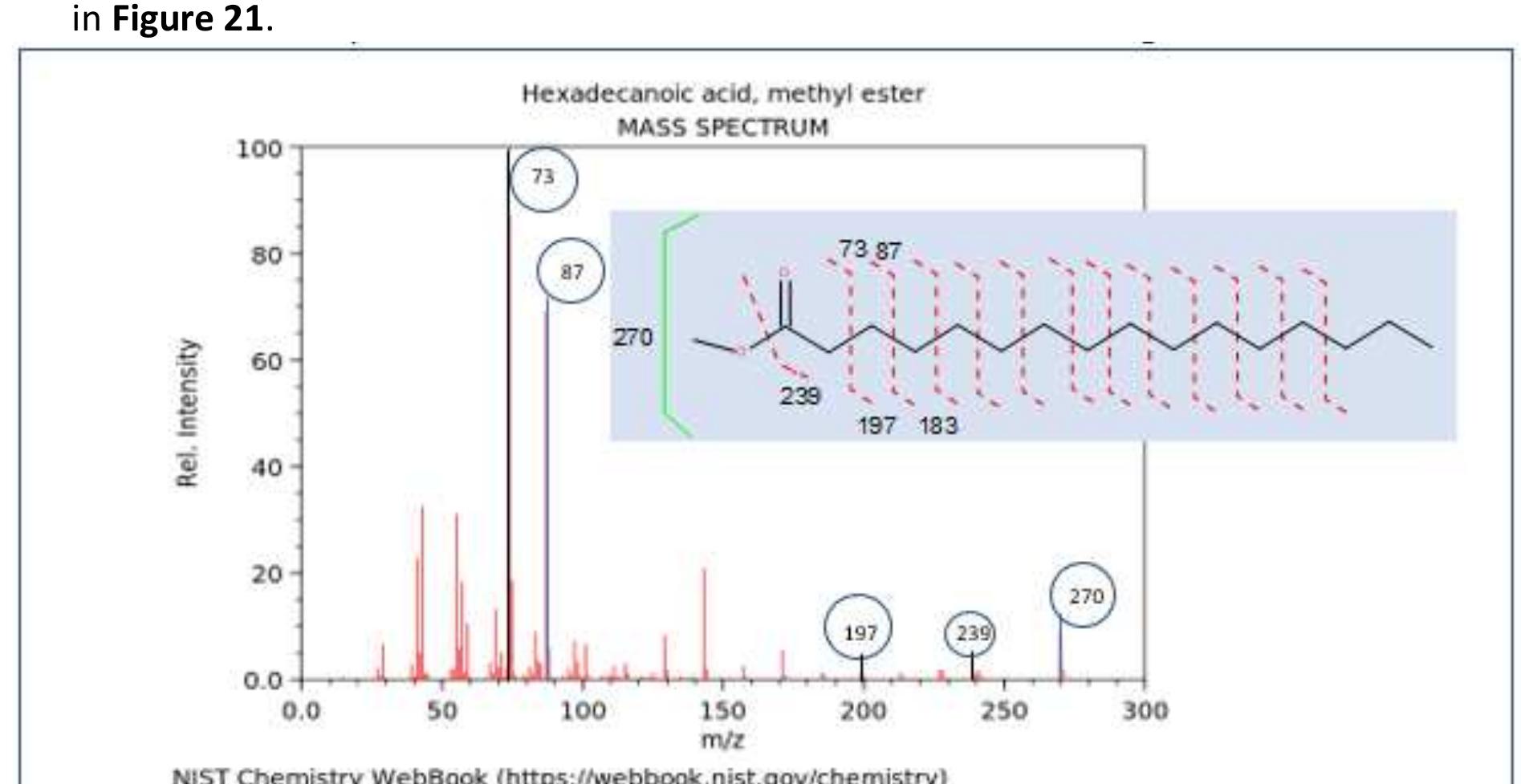 Figure 20 - How to read and Interpret GC/MS Spectra