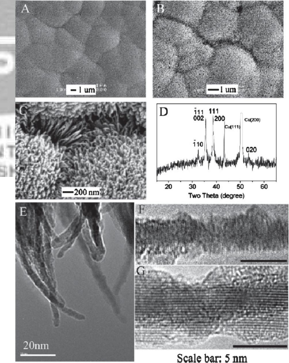 (a)-(c) sem images of as-synthesized cuo nanorods array on a