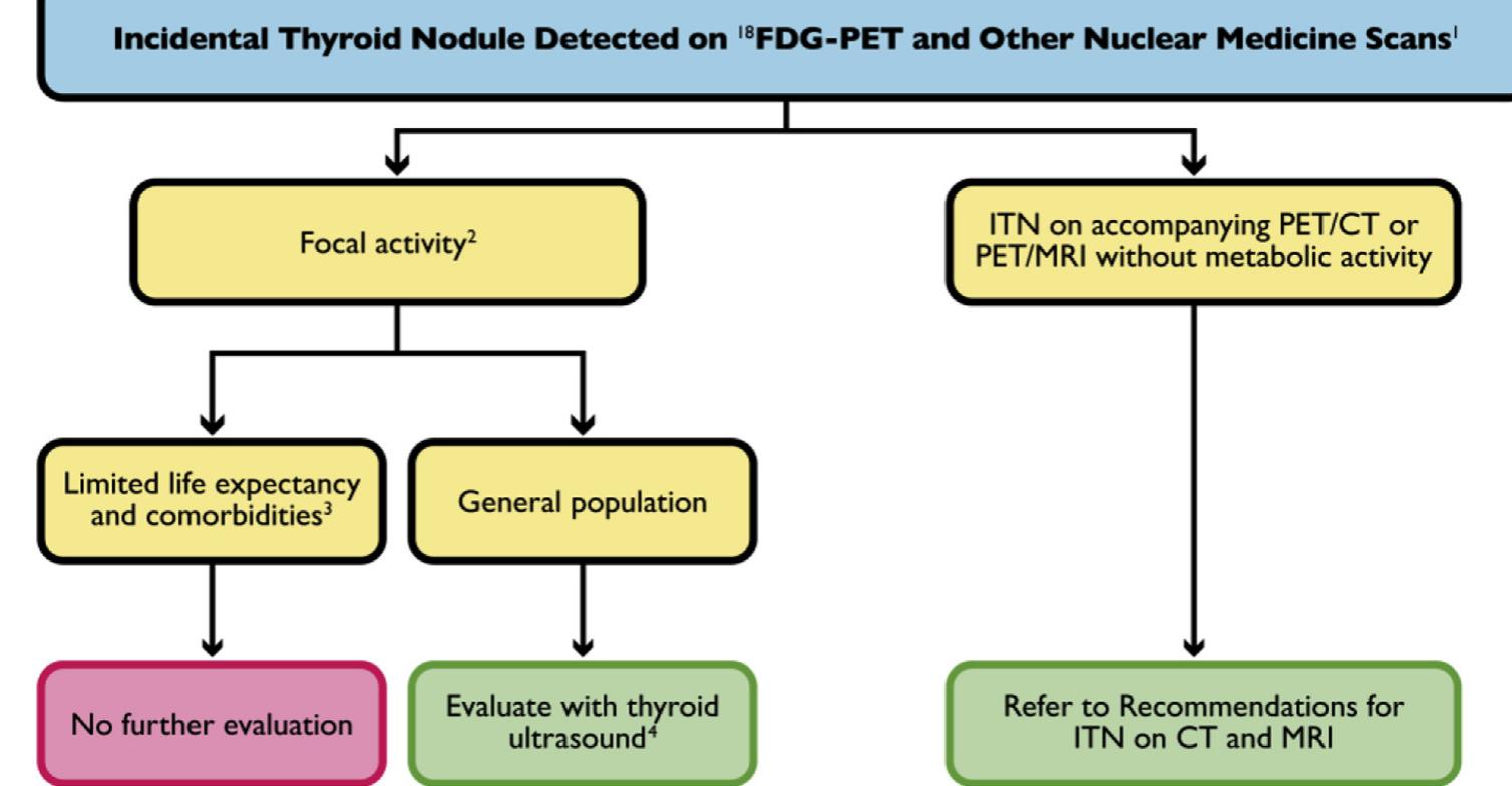 Flowchart For Incidental Thyroid Nodules Itns Detected On