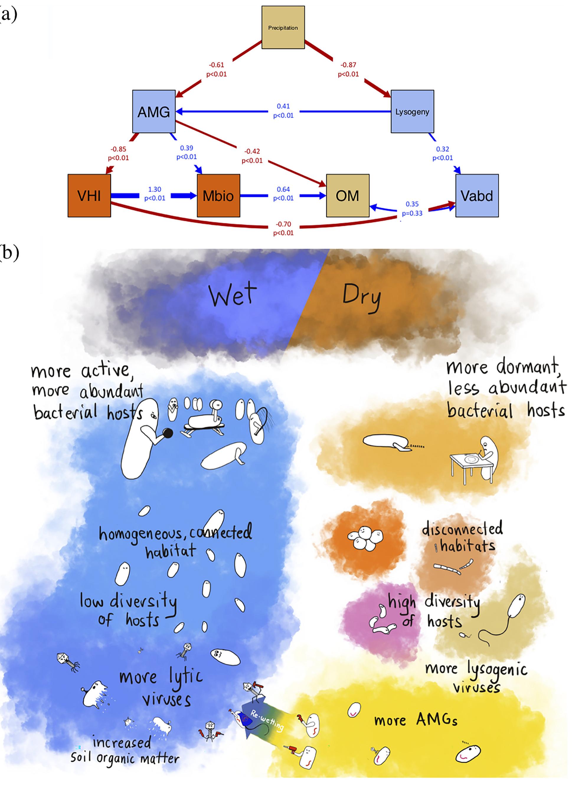 Structural equation model-supported predictions of the