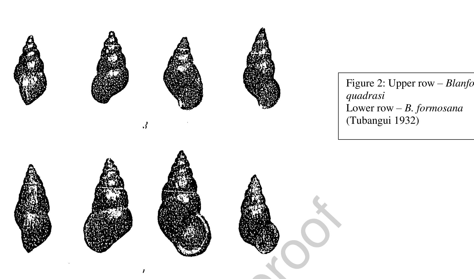 (PDF) Oncomelania hupensis quadrasi: Snail intermediate host of ...