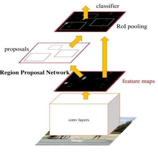 L the framework of faster r-cnn architecture for object