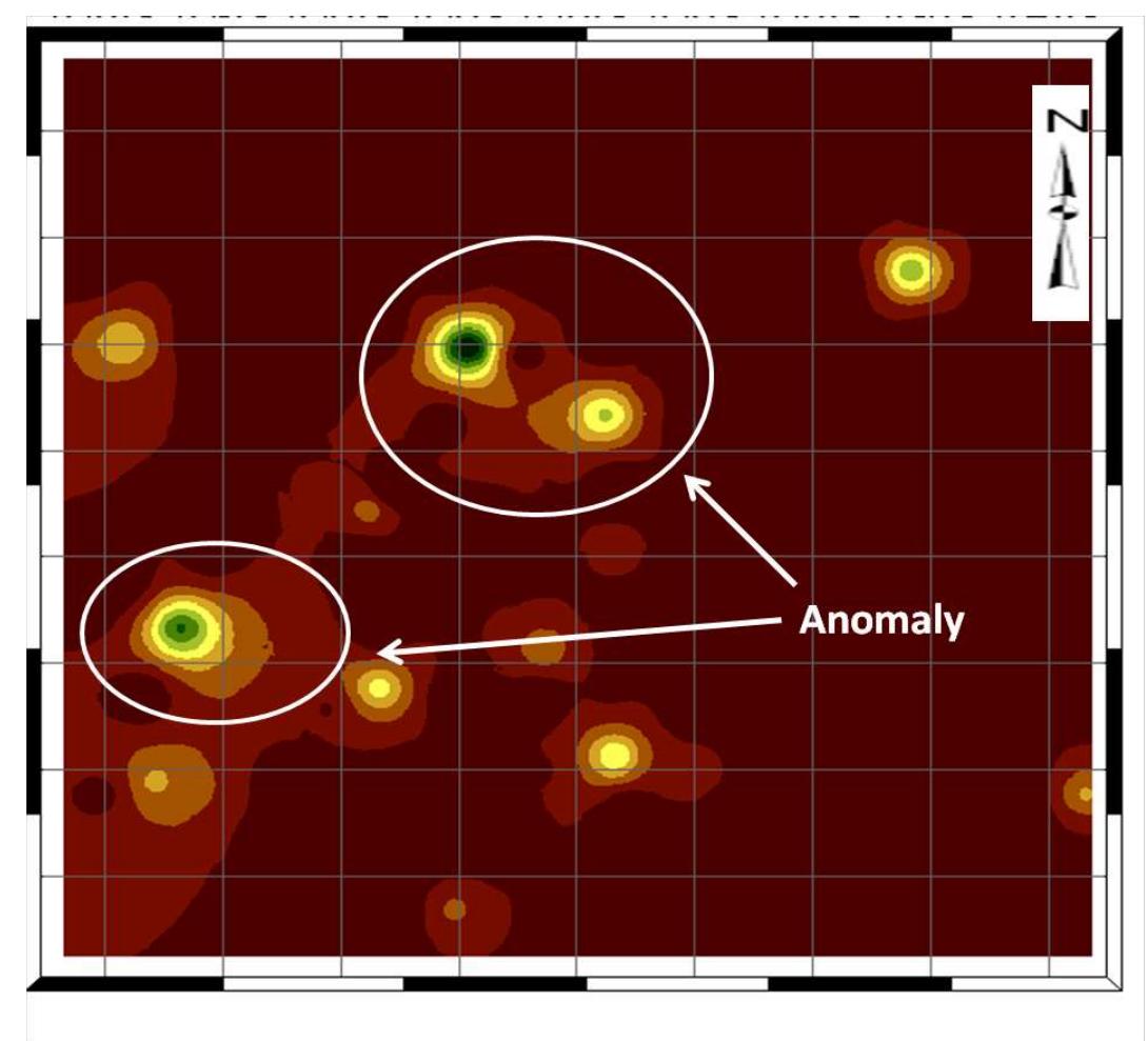 The concentration distribution and anomaly maps for