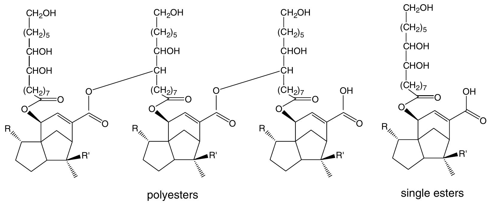 Chemical structure of shellac. 2.2.3.2. acid value and