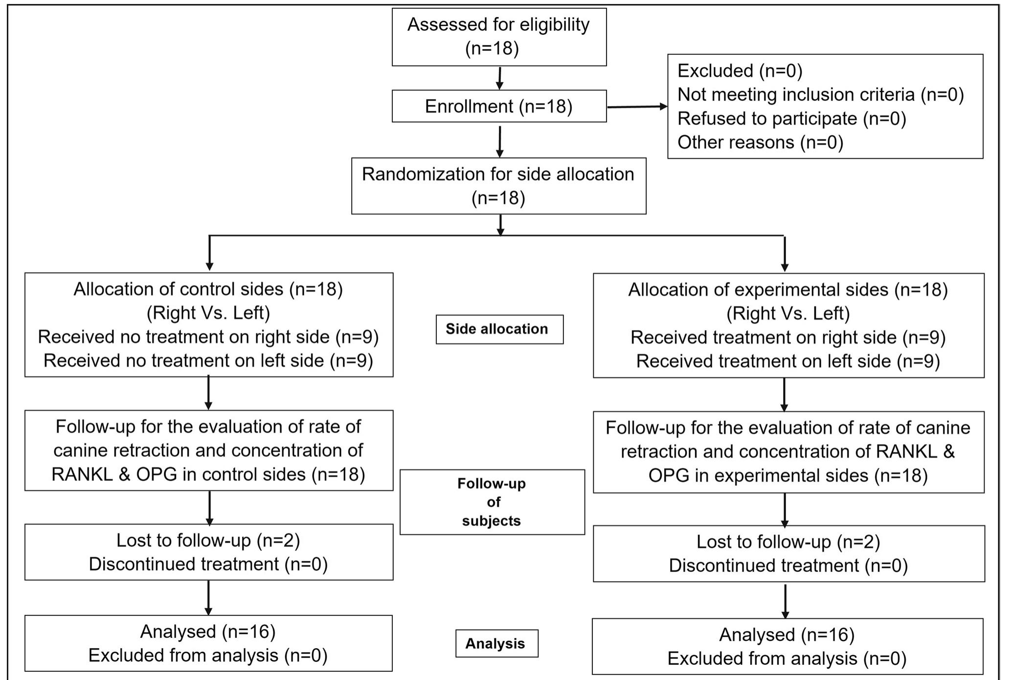 Consort flow diagram showing patient allocation and their