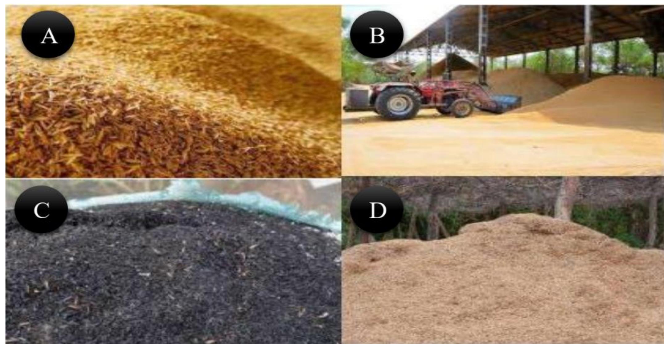 Rice husk in various forms (a) whole husk (b) grinded husk