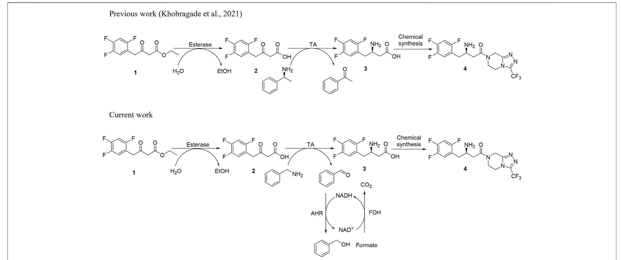 | (a) schematic diagram for the synthesis of sitagliptin