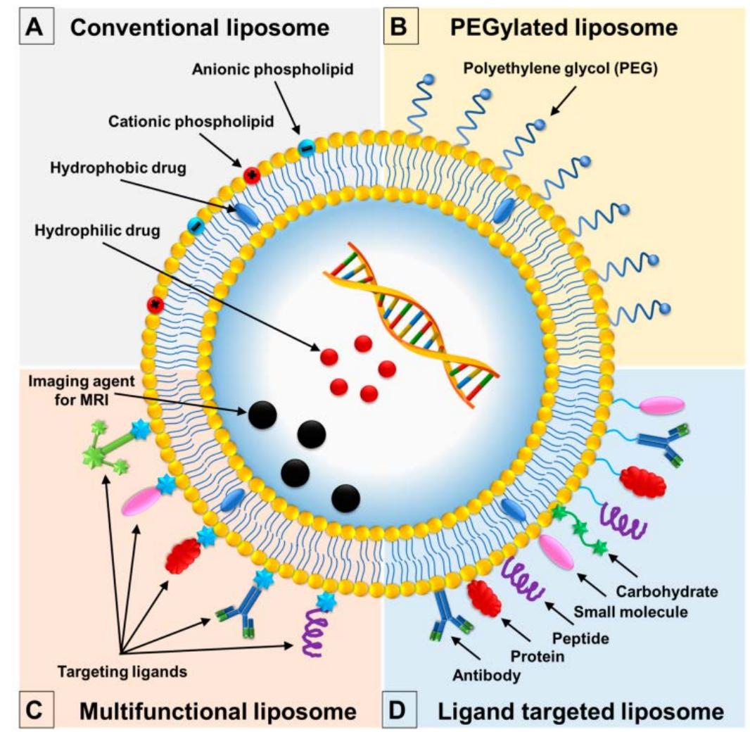 Structure and components of various types of liposomes [21,