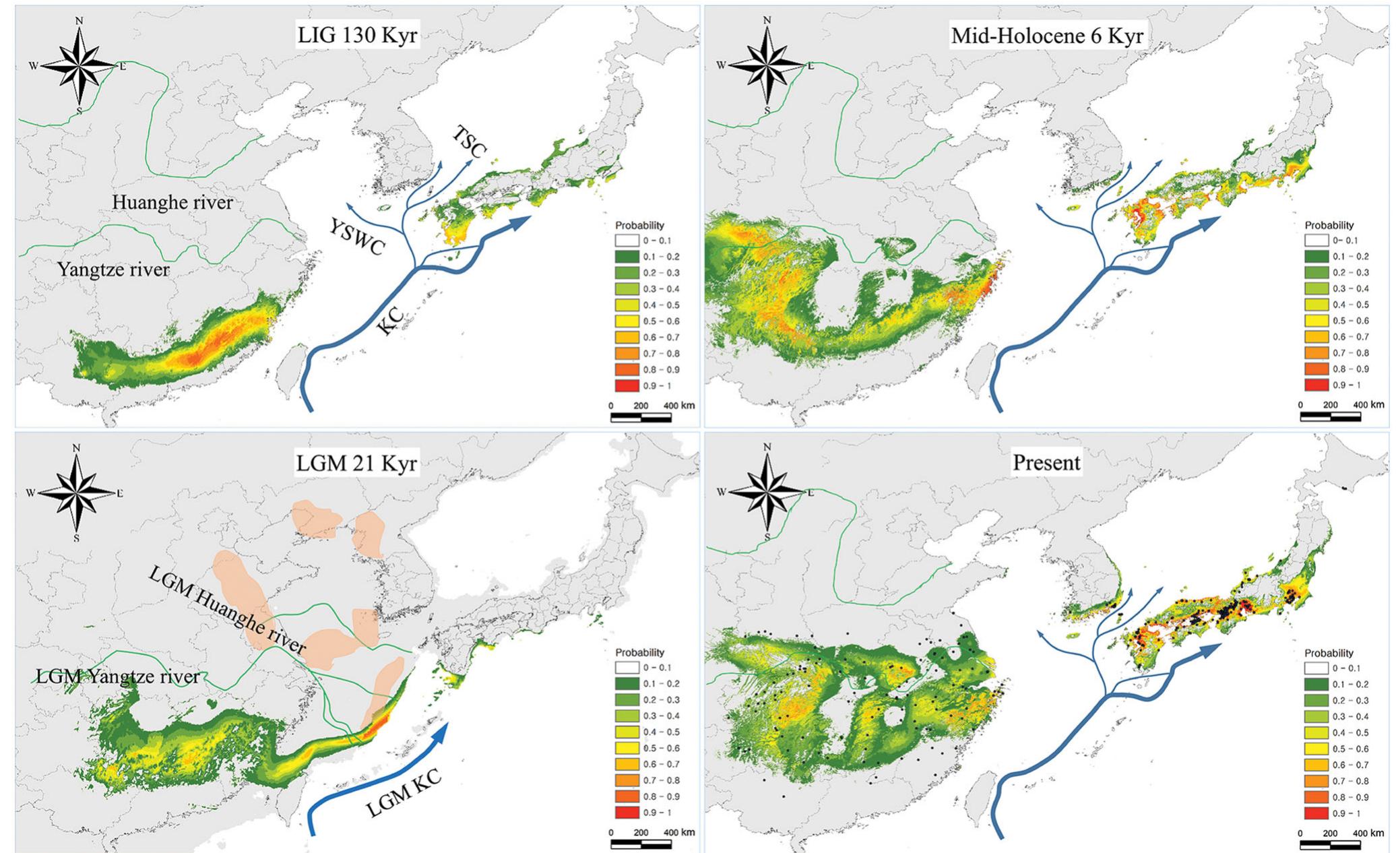 Species distribution models of gekko japonicus across china,