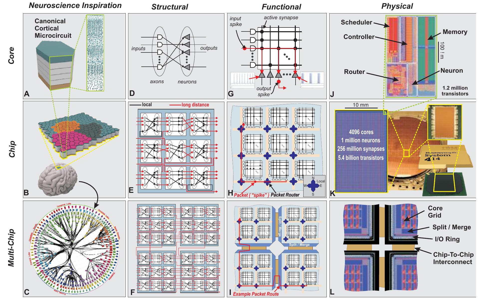 (PDF) Artificial brains. A million spiking-neuron integrated circuit ...