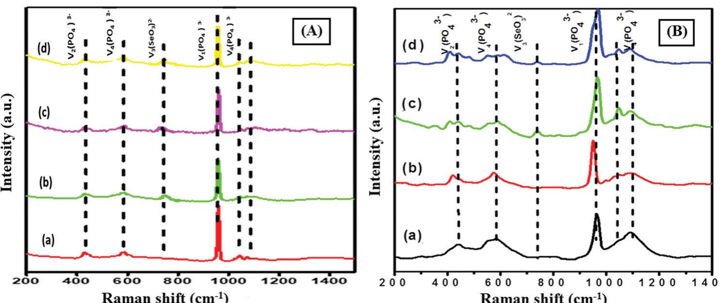 Raman spectra of se- hap samples formed using the (a)