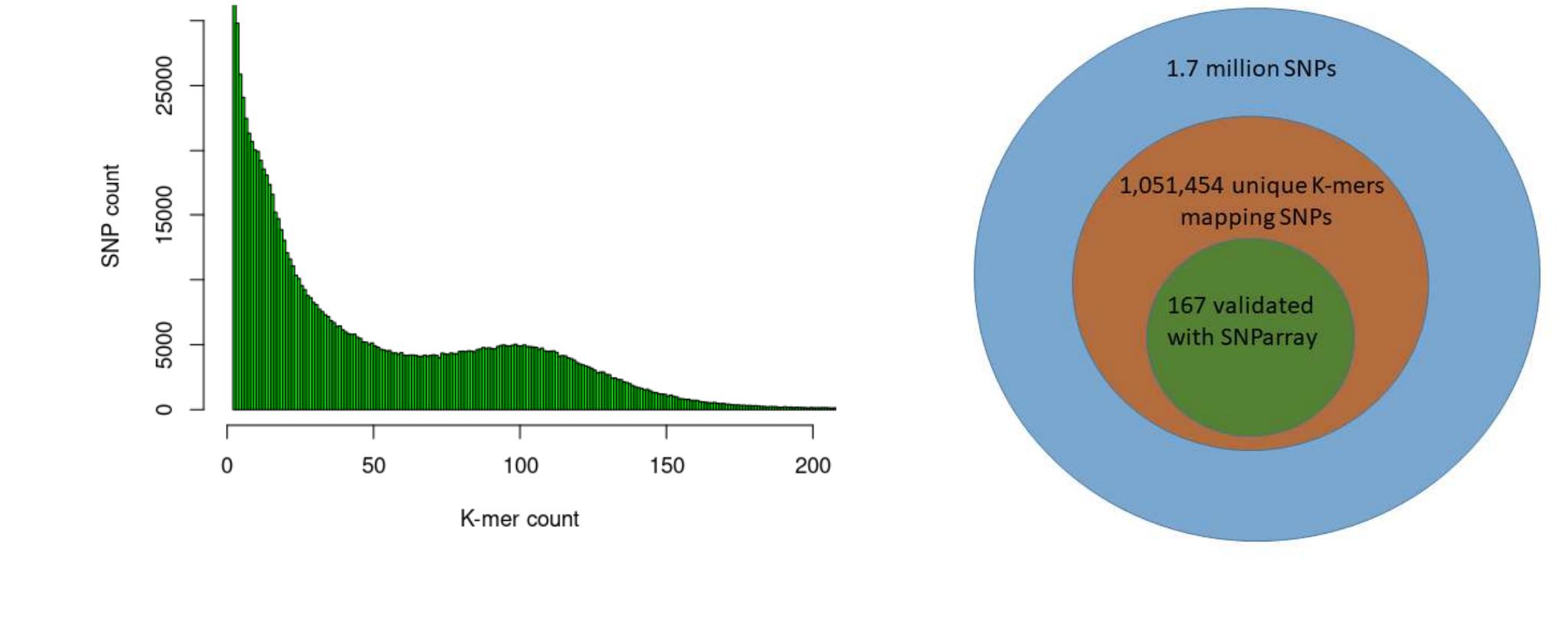 K-mer and read mapping overview. a. an alignment-free