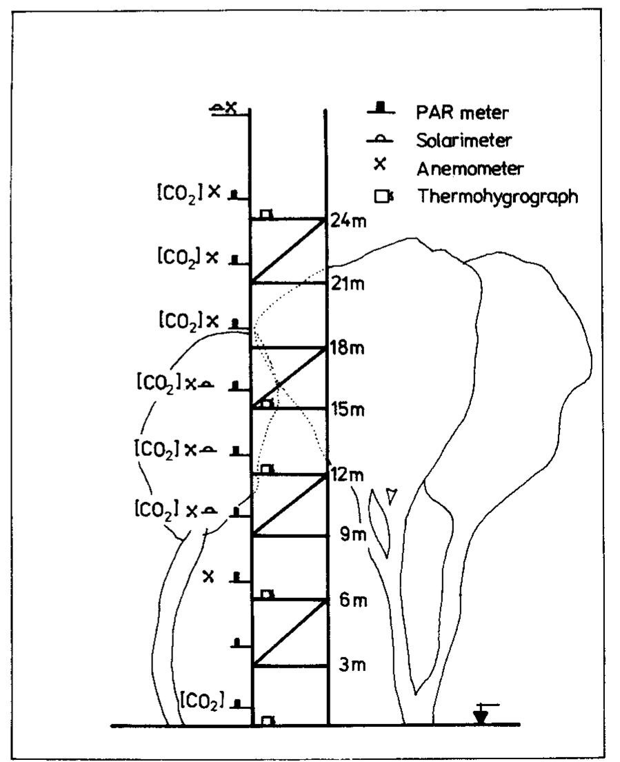 Schematic diagram of the positioning of instruments for
