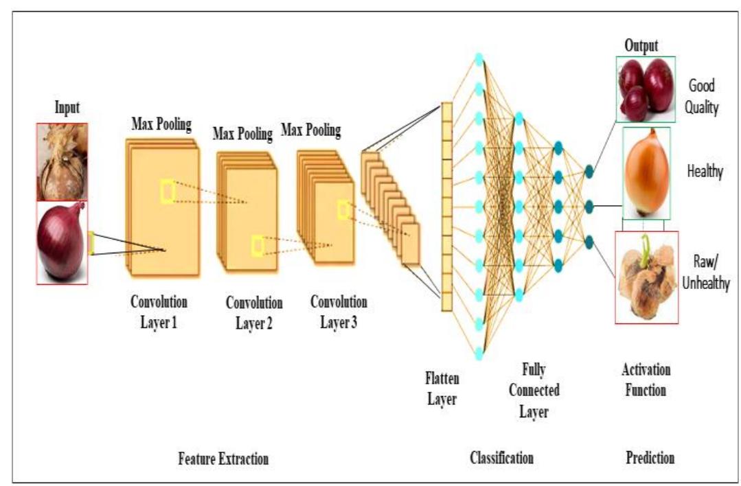 Convolution neural network (cnn) architecture used take the