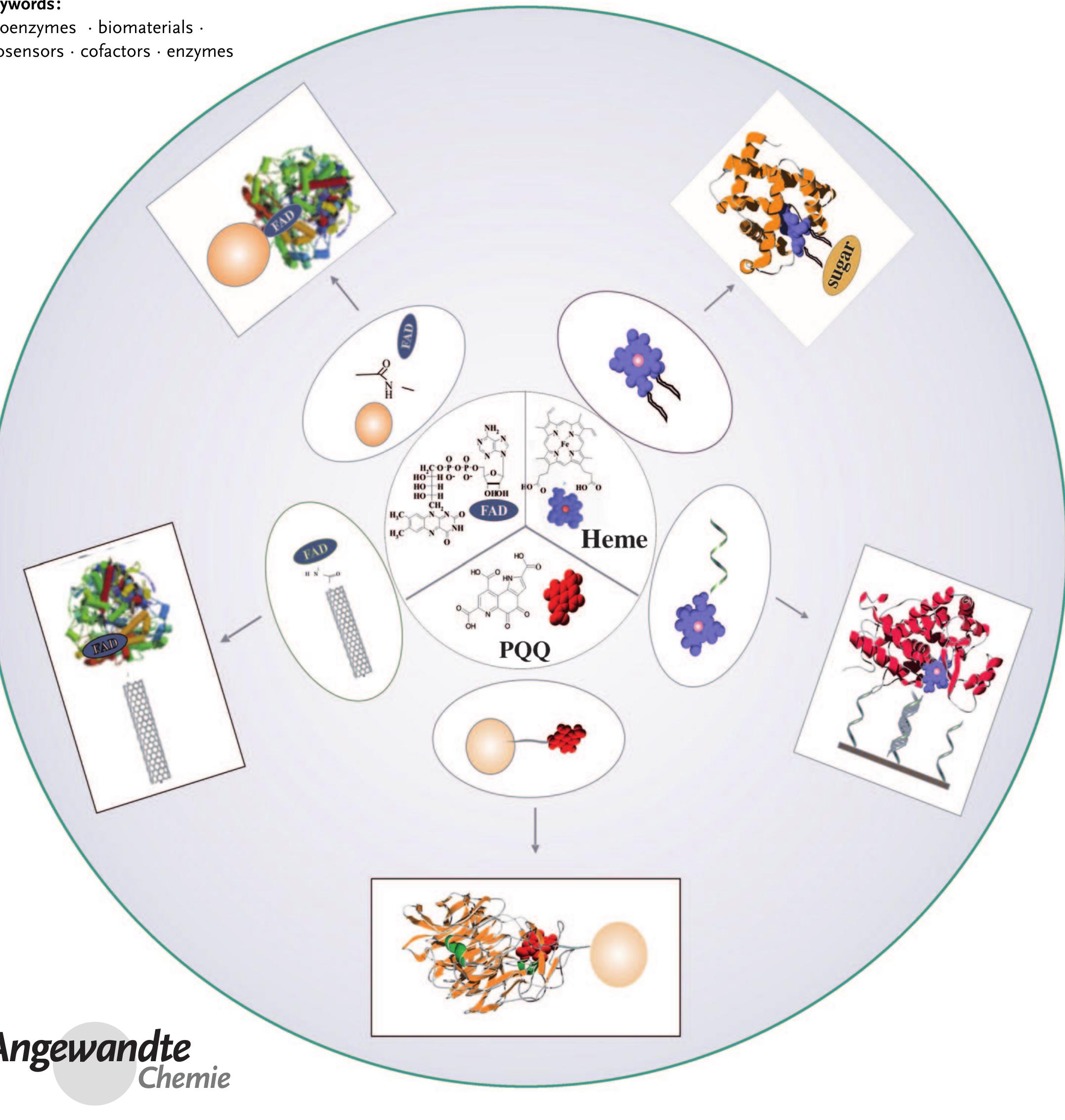 Figure 1 - Apoenzyme Reconstitution as a Chemical Tool for
