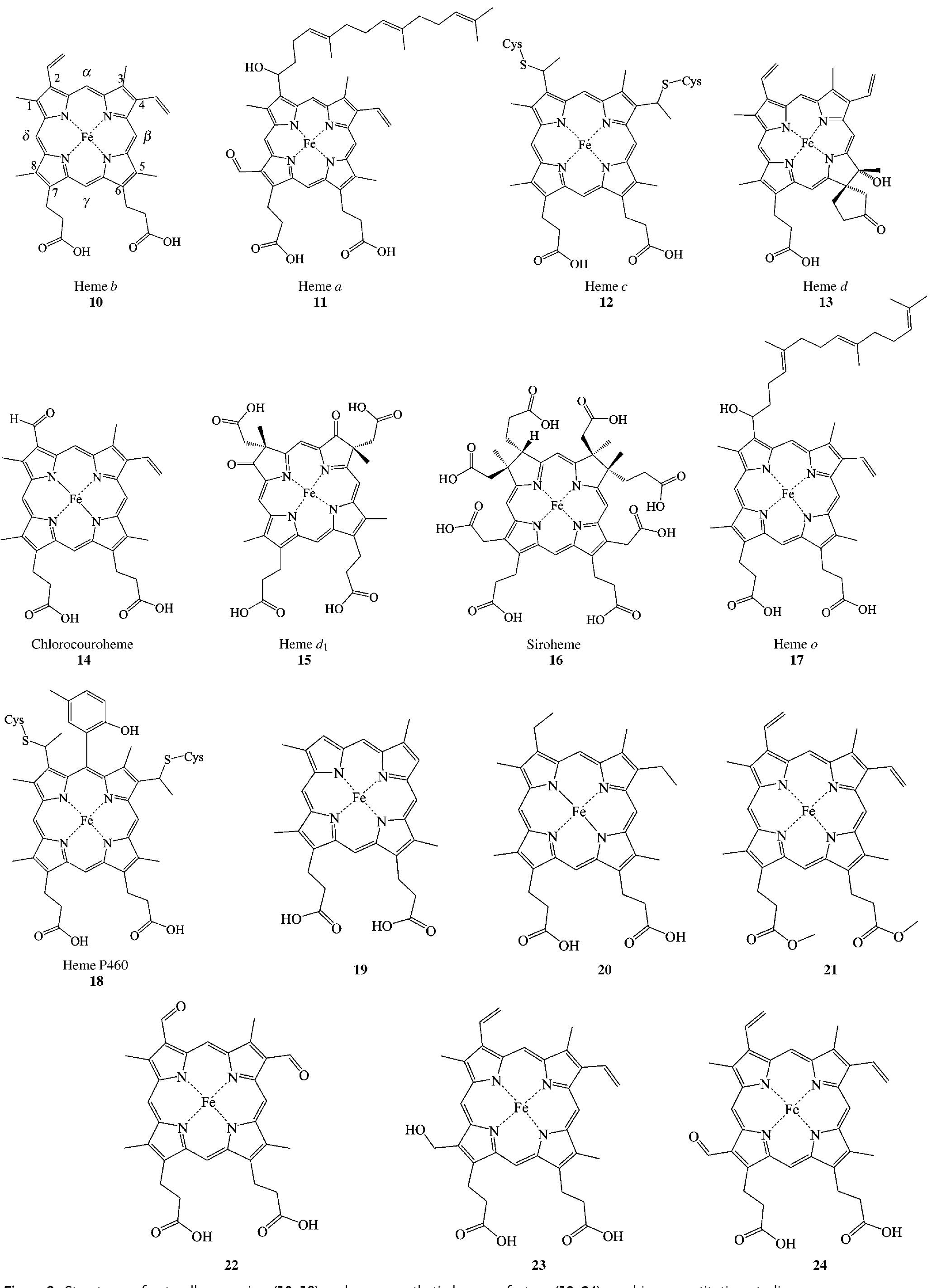 Figure 9 - Apoenzyme Reconstitution as a Chemical Tool for
