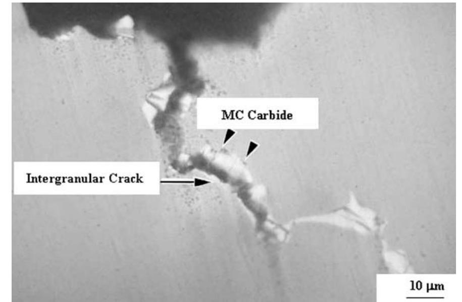 Secondary electron image of a cross-section of the blade