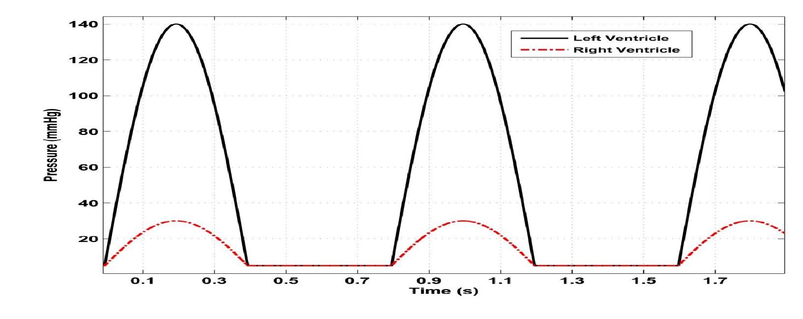 The left and right ventricular pulse pressures are
