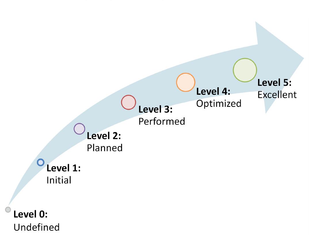 Figure 2 - A Strategic Management Maturity Model for