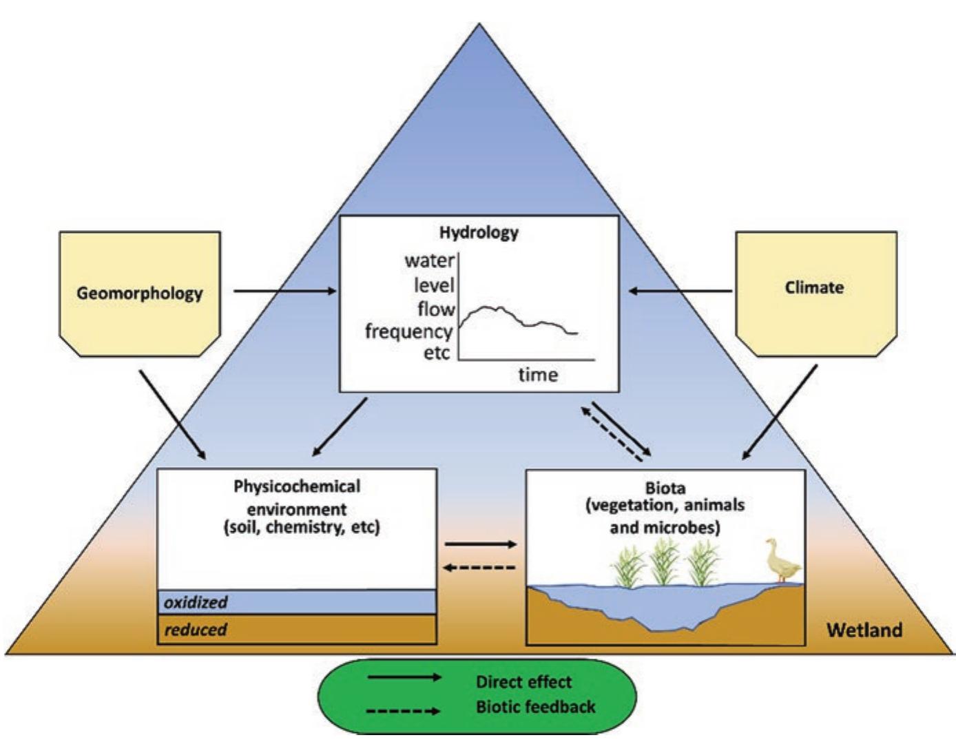 1 living and non-living components of an ecosystem working
