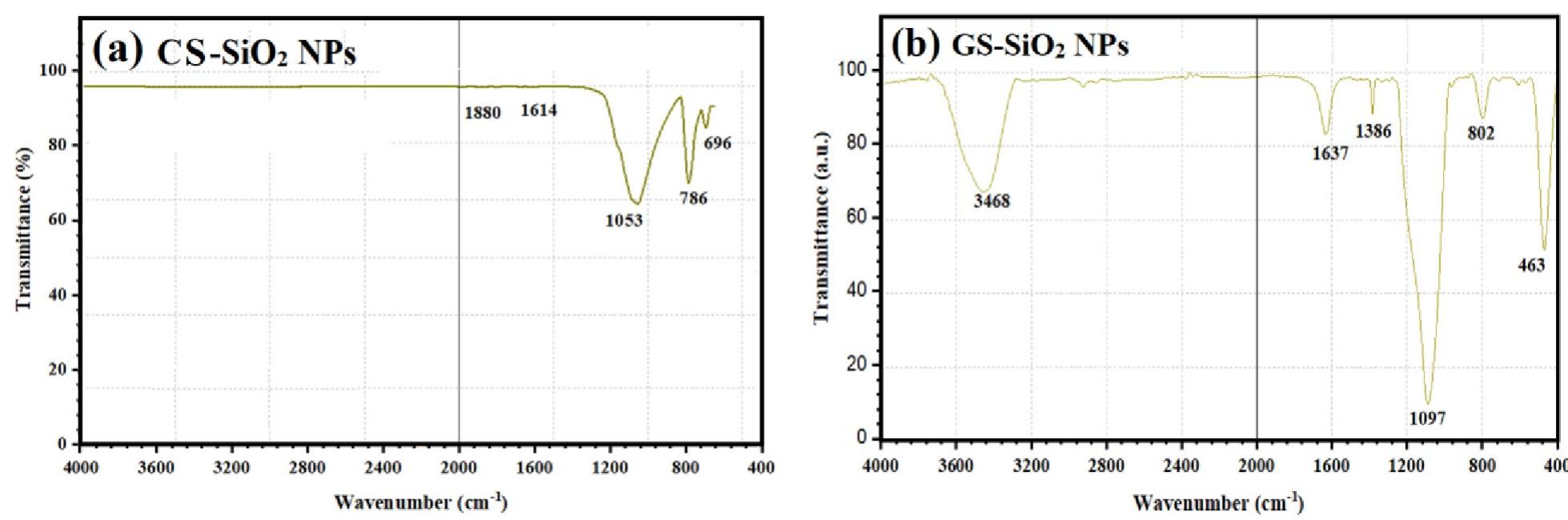 Ftir spectra of (a) cs-sio. nps and (b) gs-sio2 nps.