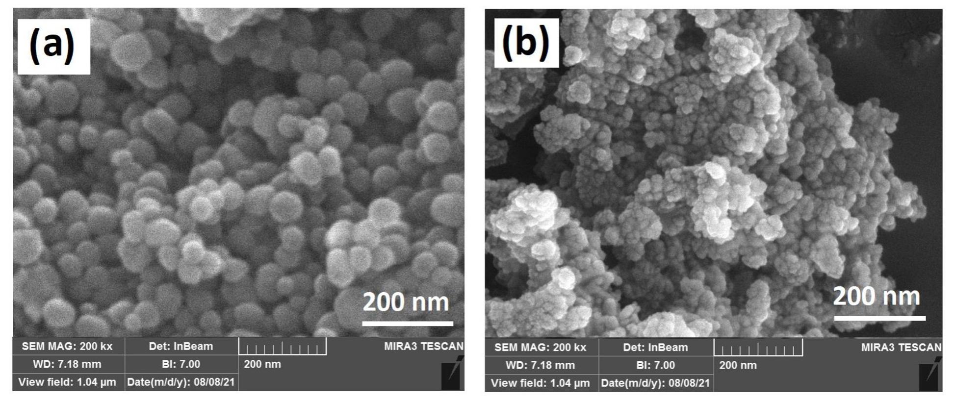 Fesem images of (a) cs-sio, nps and (b) gs-sio2 nps.