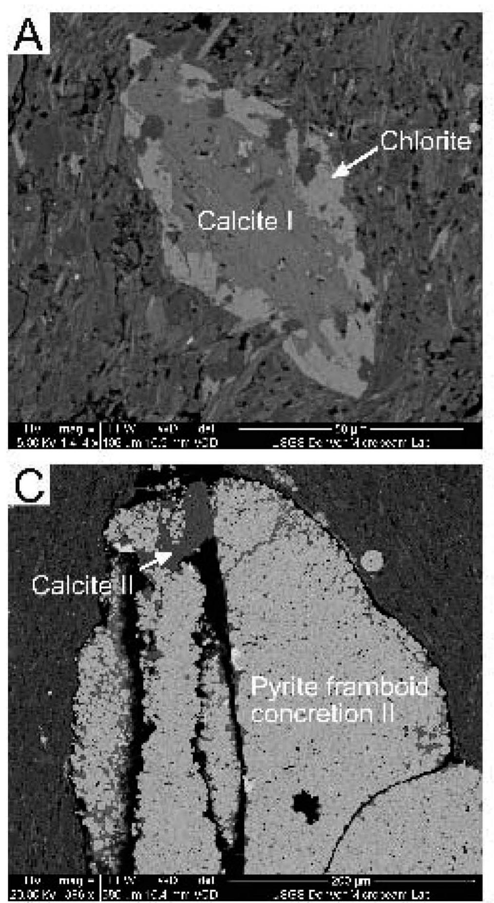 Figure 8 - from The complexity of mudstone diagenesis – some